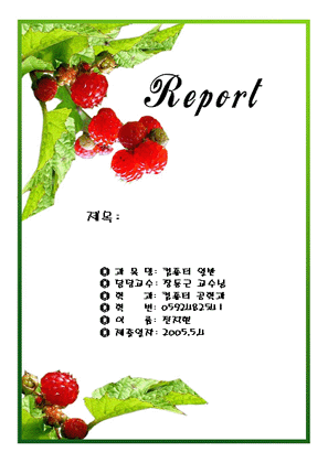 산딸기 레포트 표지