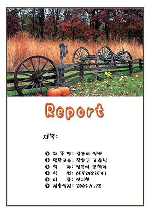 가을 들판 레포트표지