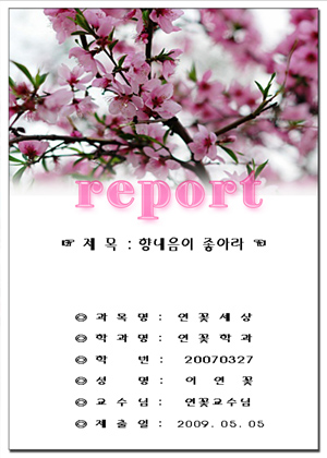 핑크벚꽃..레포트표지no연꽃247