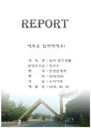 서울대학교 레포트표지