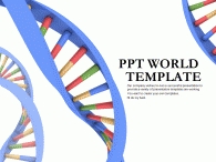 유전자 DNA 템플릿(자동완성형 포함)
