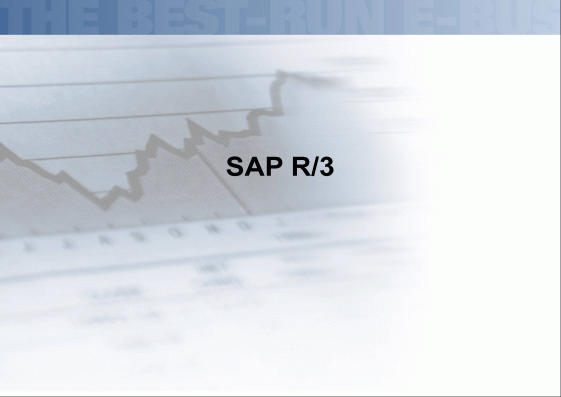 SAP R/3 분석