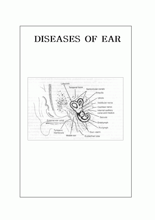 귀질환 DISEASES OF EAR