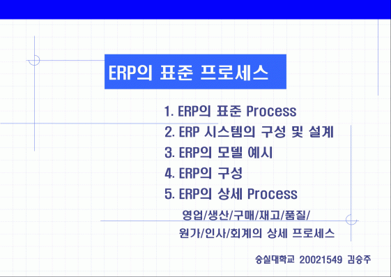ERP PROCESS(ERP 프로세스)에 대하여