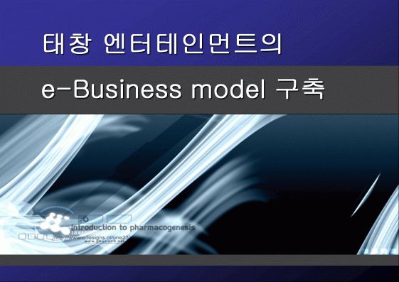 태창 엔터테인먼트의 e-business model 구축