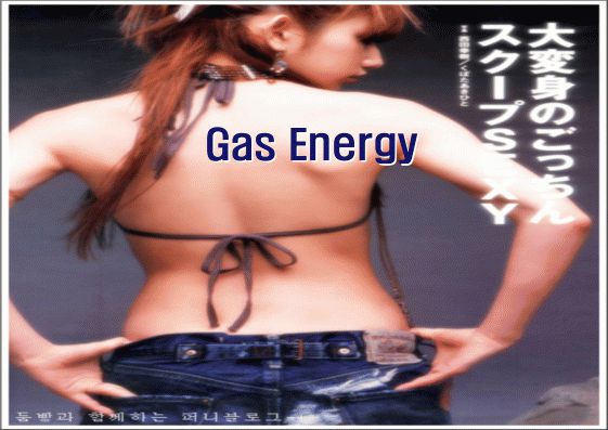 가스에너지 종류