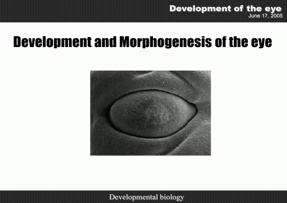 Development and Morphogenesis of the eye (눈의 발생과 형성)