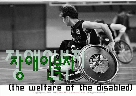 사회의 장애인 문제 우리나라 장애인의 현황 현재 우리나라 장애인의 권리문제