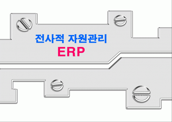 전사적 자원관리(ERP)
