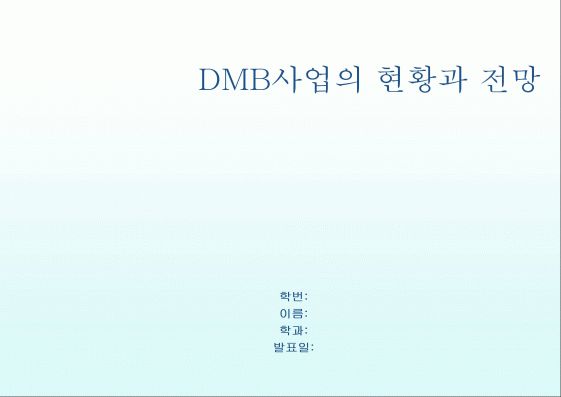 DMB사업의 경제적 사업성 현황과 전망과 다양한 분석 (2007년  추천 우수 레포트 선정)