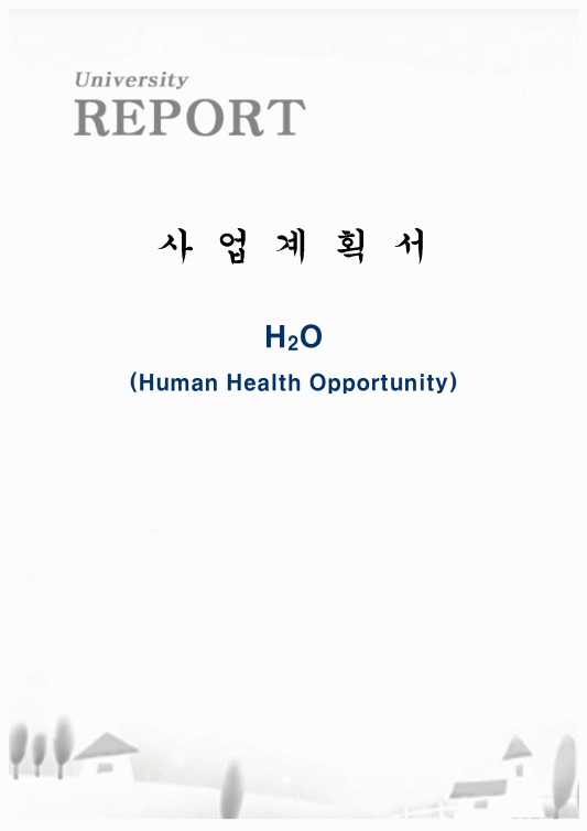 사업계획서(H2O:Human Health Opportunity)
