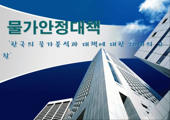 물가안정대책 ‘한국의 물가분석과 대책에 대한 20대의 고찰’