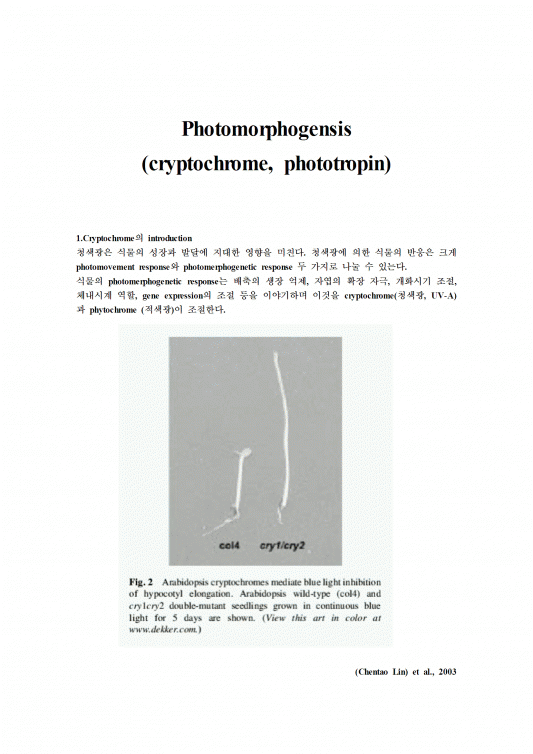 cryptochrome & phototropin
