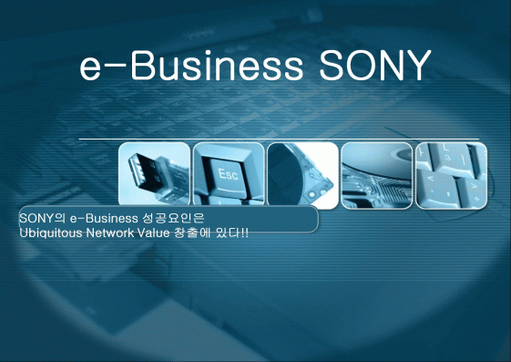 SONY의 e-Business 성공요인