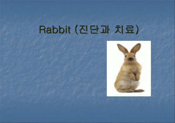Rabbit (진단과 치료)