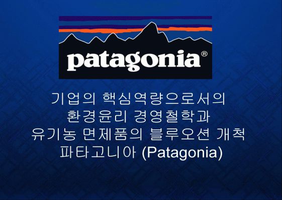 파타고니아 Patagonia - 유기농 면제품의 블루오션 개척과 기업의 핵심역량으로서의 환경철학
