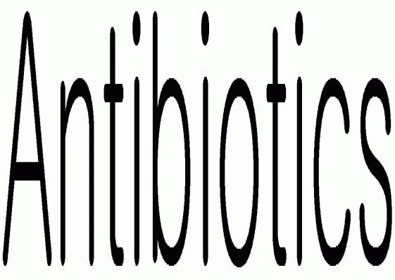 항생제 완벽 정리 (antibiotics)