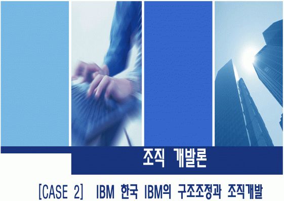 한국 미국 IBM의 조직개발 구조조정