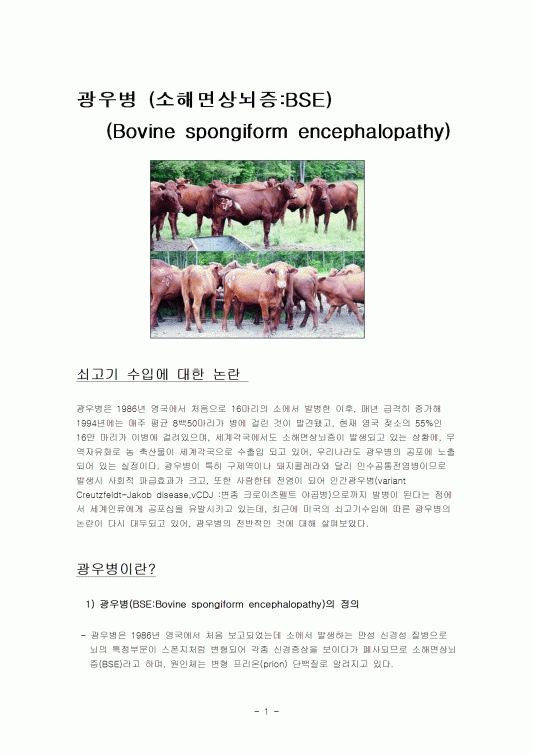 광우병 (소해면상뇌증:BSE) (Bovine spongiform encephalopathy)