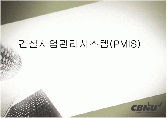 건설사업관리시스템(PMIS)