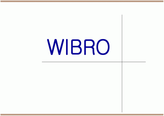 wibro 기술의 모든것