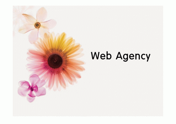 [웹기획및설계] Web Agency 분석 PPT