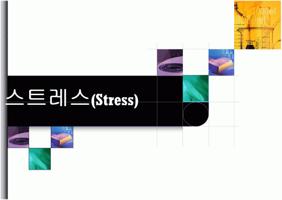 스트레스(stress)