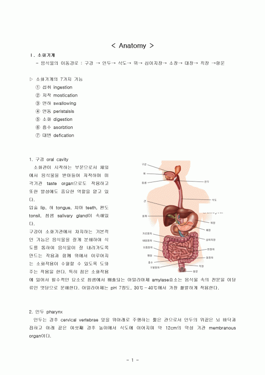 인체 해부생리 anatomy