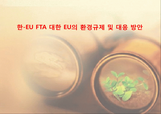 한-EU FTA 대한 환경규제 대응 방안