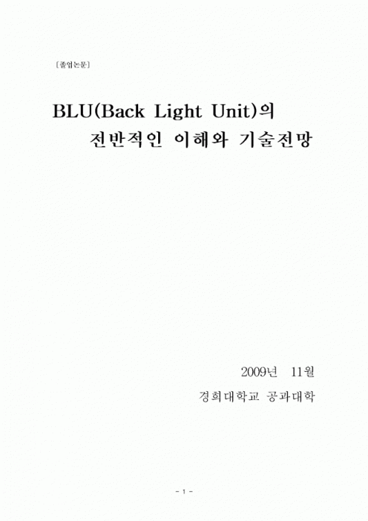 BLU(Back Light Unit)의 전반적인 이해와 기술전망