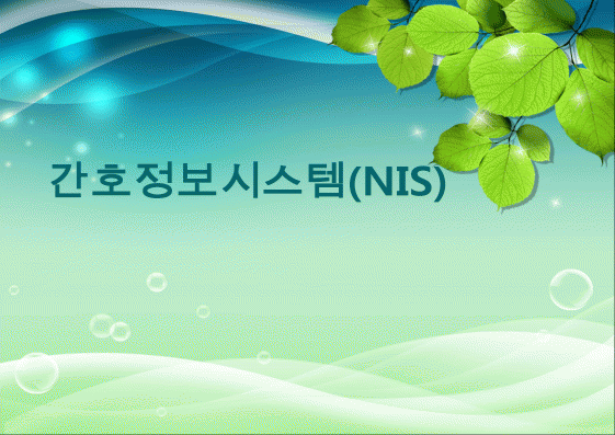 [독후감/서평/요약] 간호정보시스템(NIS)