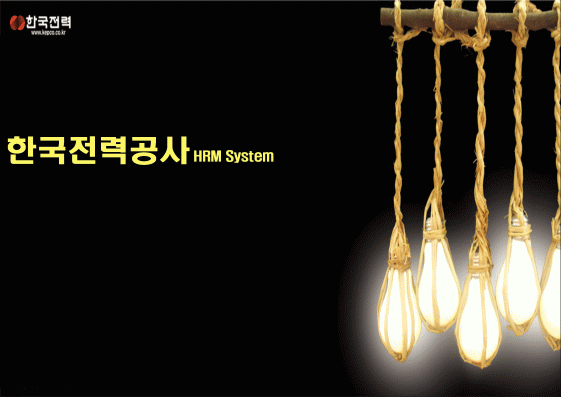 [인적자원관리]한국전력 인적자원관리