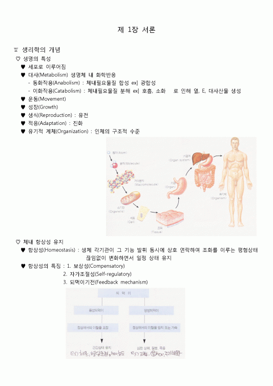 [간호] 인체 생리학 요점정리 (서론, 세포, 물질운반, 신경, 근육)