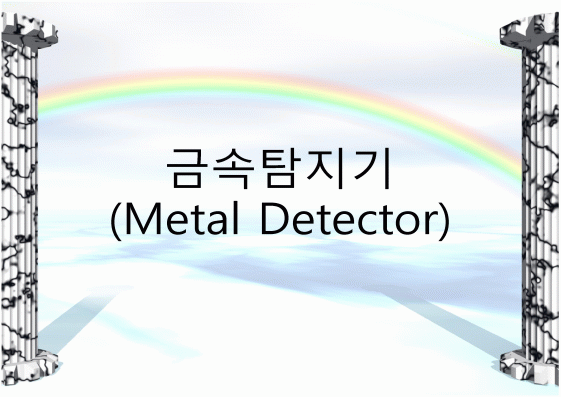 금속탐지기(Metal Detector)