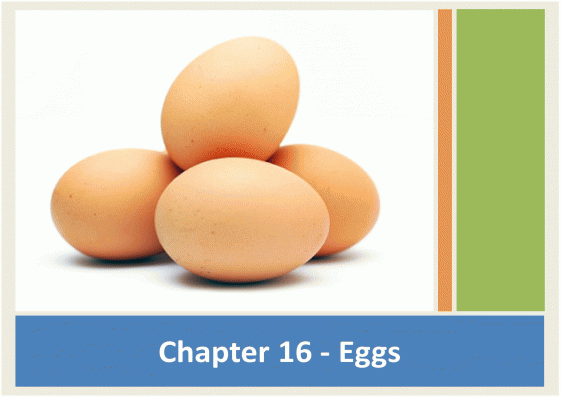 Chapter 16 - Eggs