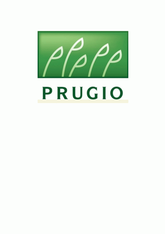 푸르지오(prugio)마케팅전략과 경영분석