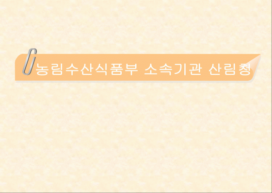 행정과국민복리+발표자료