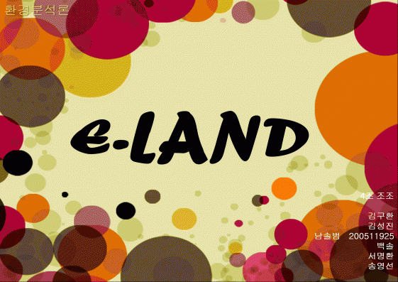이랜드(E-LAND) 사례발표
