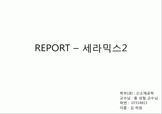 report-세라믹스2