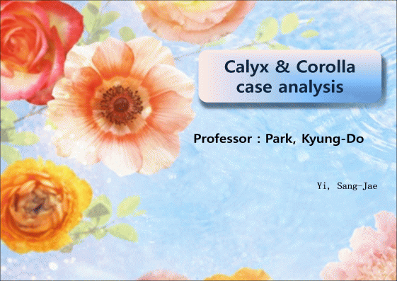 [서강대 경영정보시스템]marketing 칼릭스&코롤라 case analysis