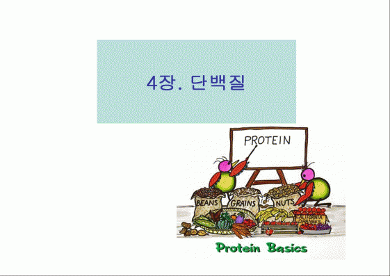 영양화학 4장. 단백질(Protein)