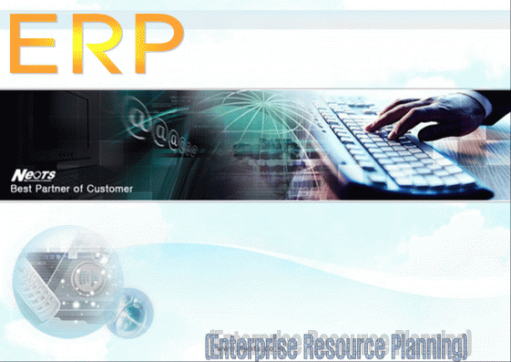 전사적 자원관리 ERP[enterprise resource planning]