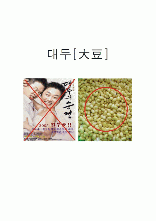 대두[大豆]or 콩