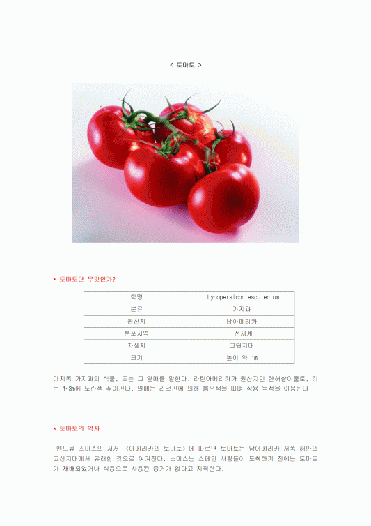 토마토[tomato]정리