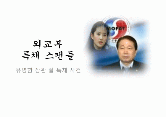 외교부 특채 스캔들 - 유명환 장관 딸 특채 사건