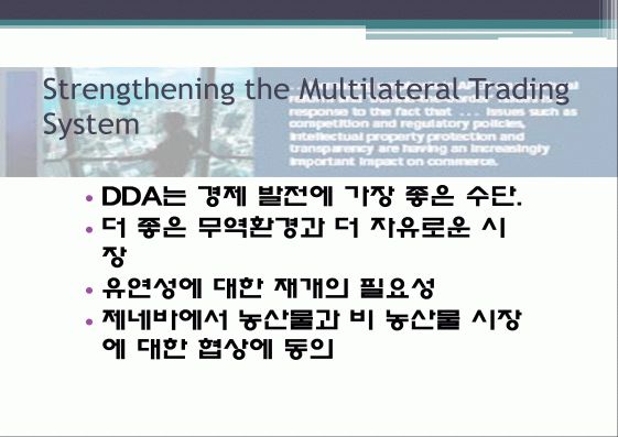 Strengthening the Multilateral Trading System - DDA는 경제 발전에 가장 좋은 수단