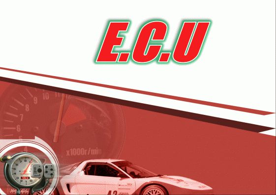 엔진제어유닛(engine control unit ECU)조사