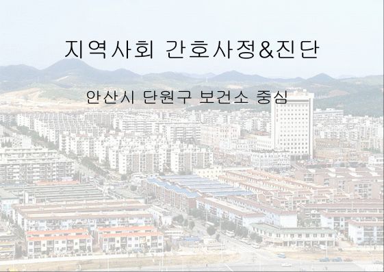 지역사회 간호사정&진단 - 안산시 단원구 보건소 중심