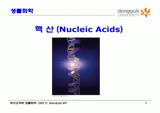 9.+핵산(Nucleic Acids)