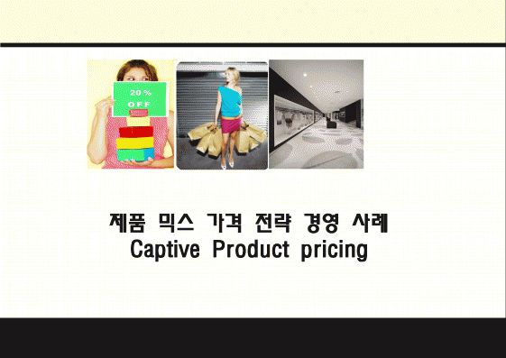 제품 믹스 가격 전략 경영 사례 Captive Product pricing